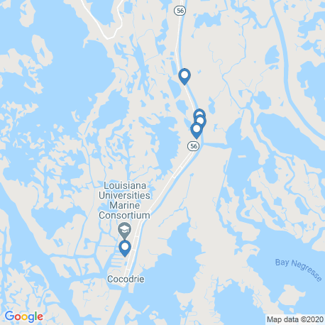 Top 10 Cocodrie, United States Fishing Charters for 2020 - FishingBooker