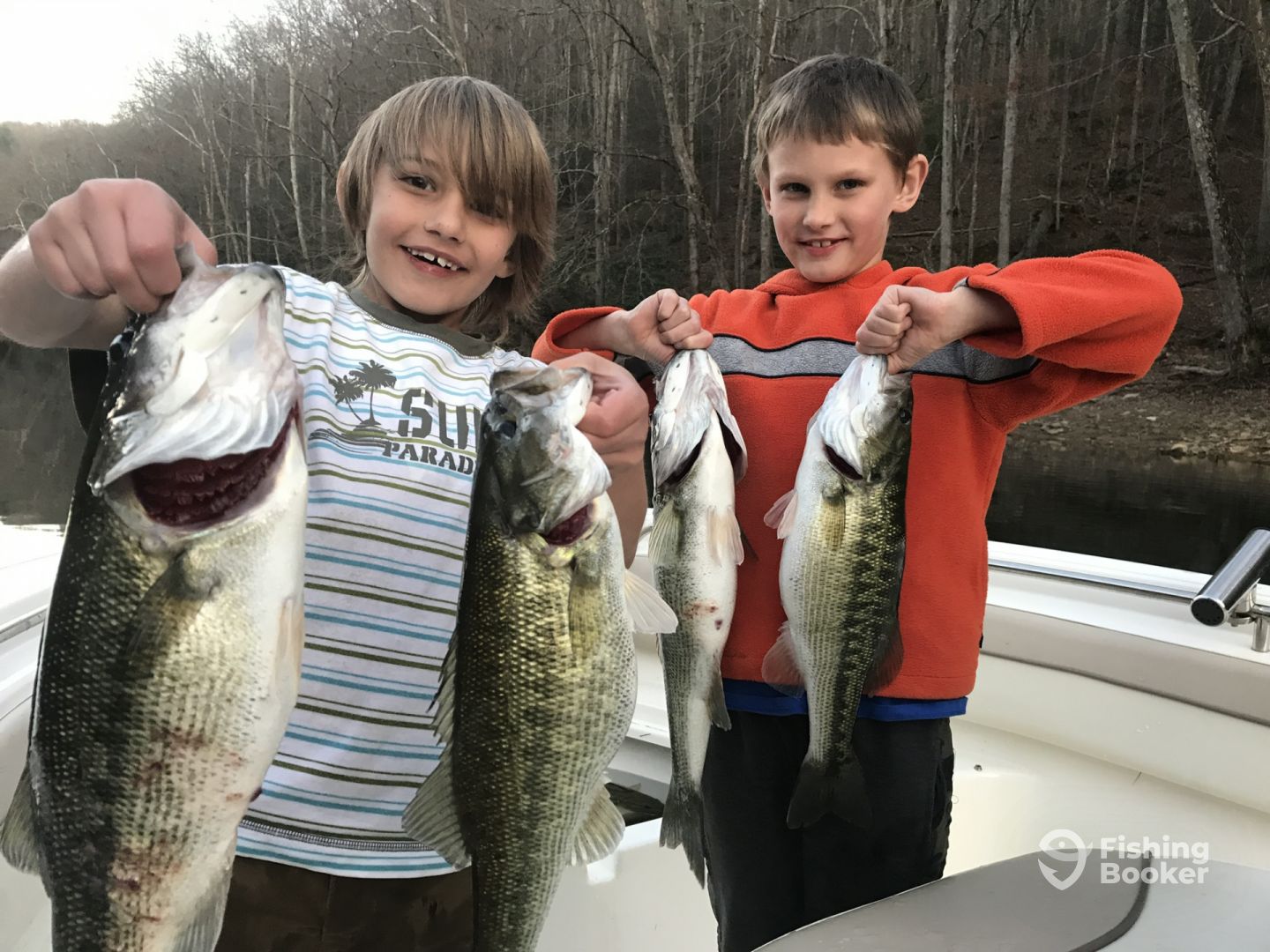Fish Slayer Fishing – Lake Blue Ridge - Updated 2024 Prices
