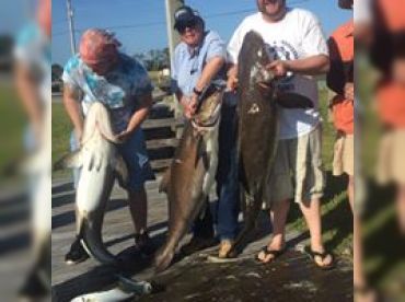 Hatterascal Charter Fishing - Updated 2024 Prices