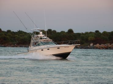 Great experience with Capt Gil and Hunter (First Mate) - Review of Apex ...