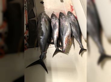 Hook N Cook Sport Charter Fishing - Updated 2024 Prices