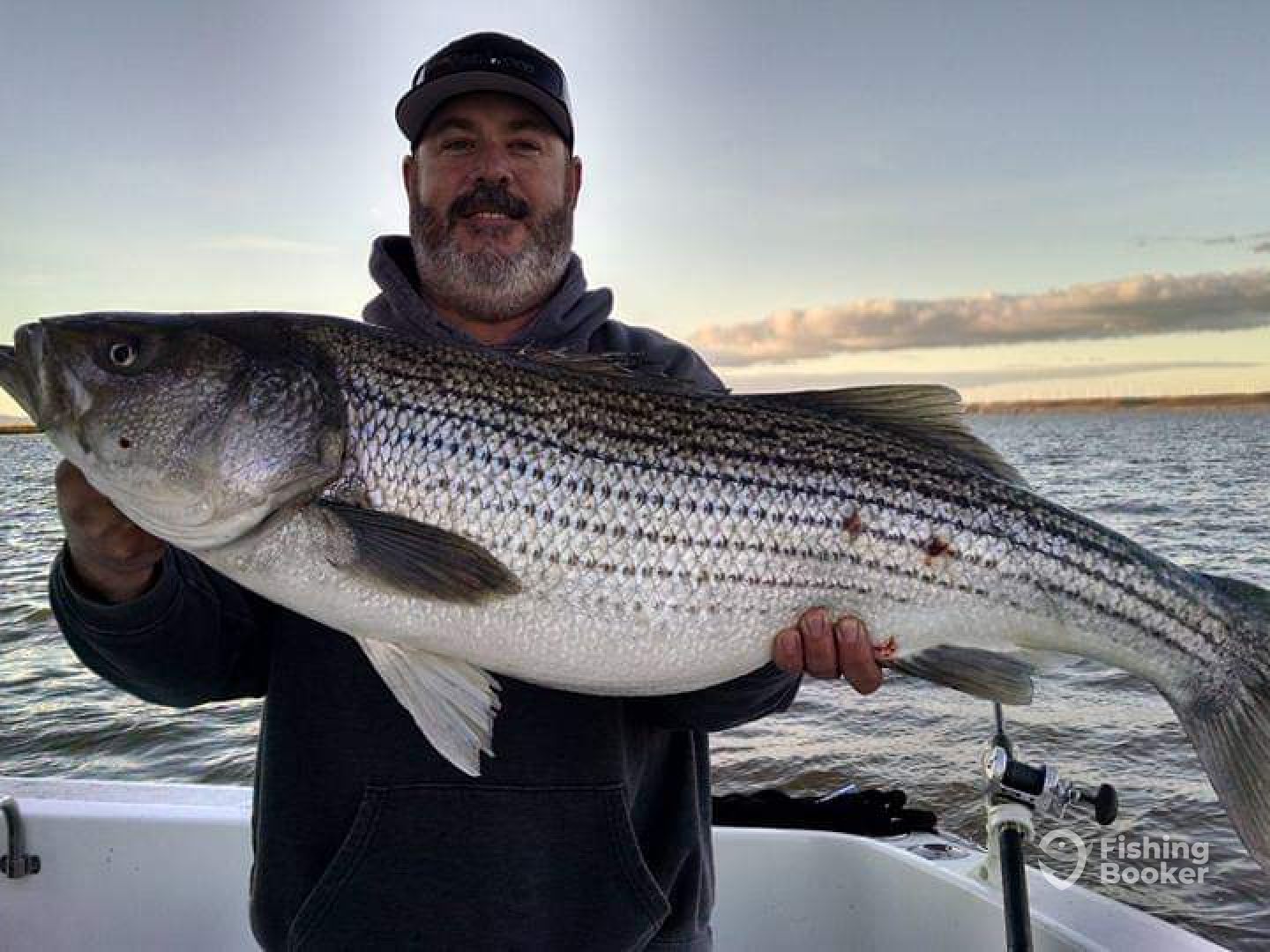 Addictive Sport Fishing - Updated 2024 Prices