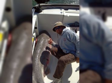 Addictive Sport Fishing - Updated 2024 Prices