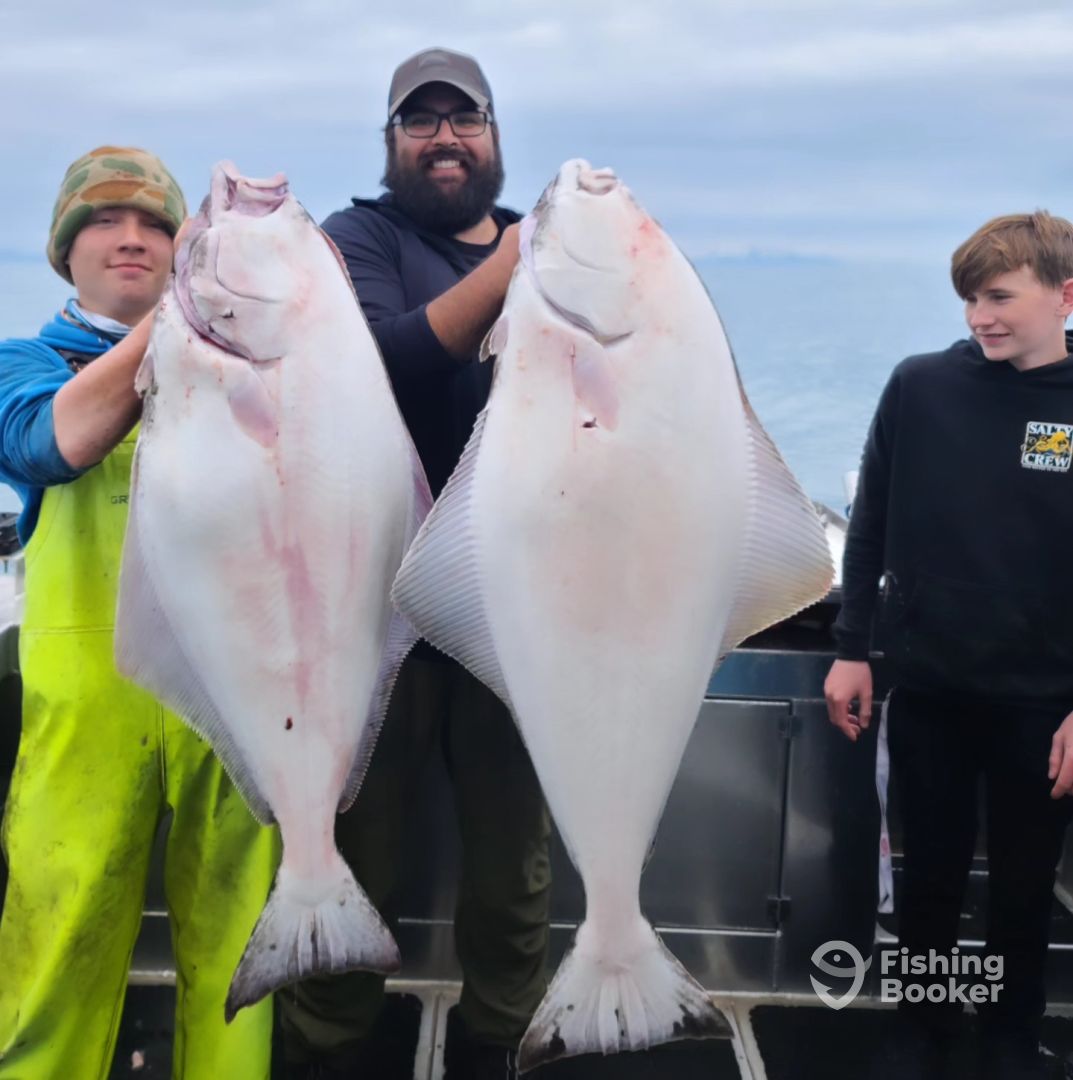 Homer Fishing Addiction - Updated 2025 Prices