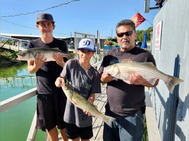 Ben's Guide - Updated 2024 Prices