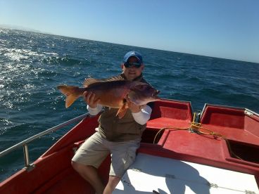 Geelbek (Cape Salmon) Fishing: Species info, charters and destinations ...