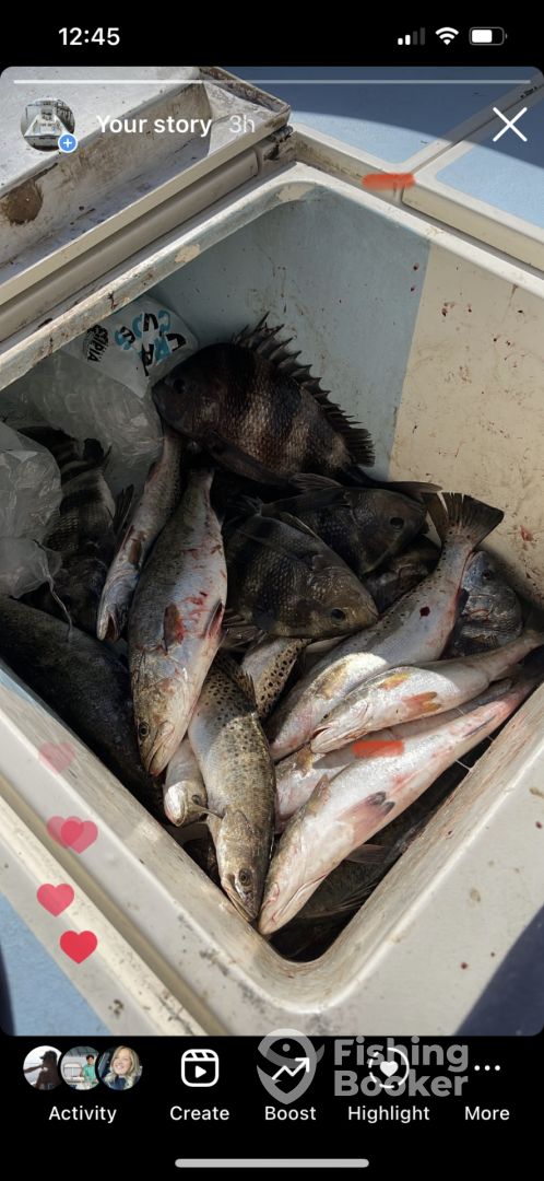 Big Fish Charters - Updated 2024 Prices