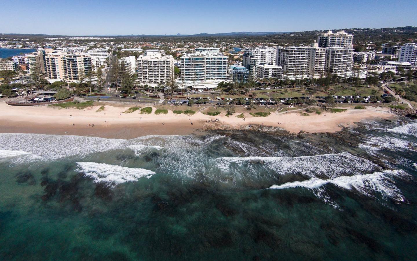 Yellowtail Amberjack Fishing in Mooloolaba - FishingBooker