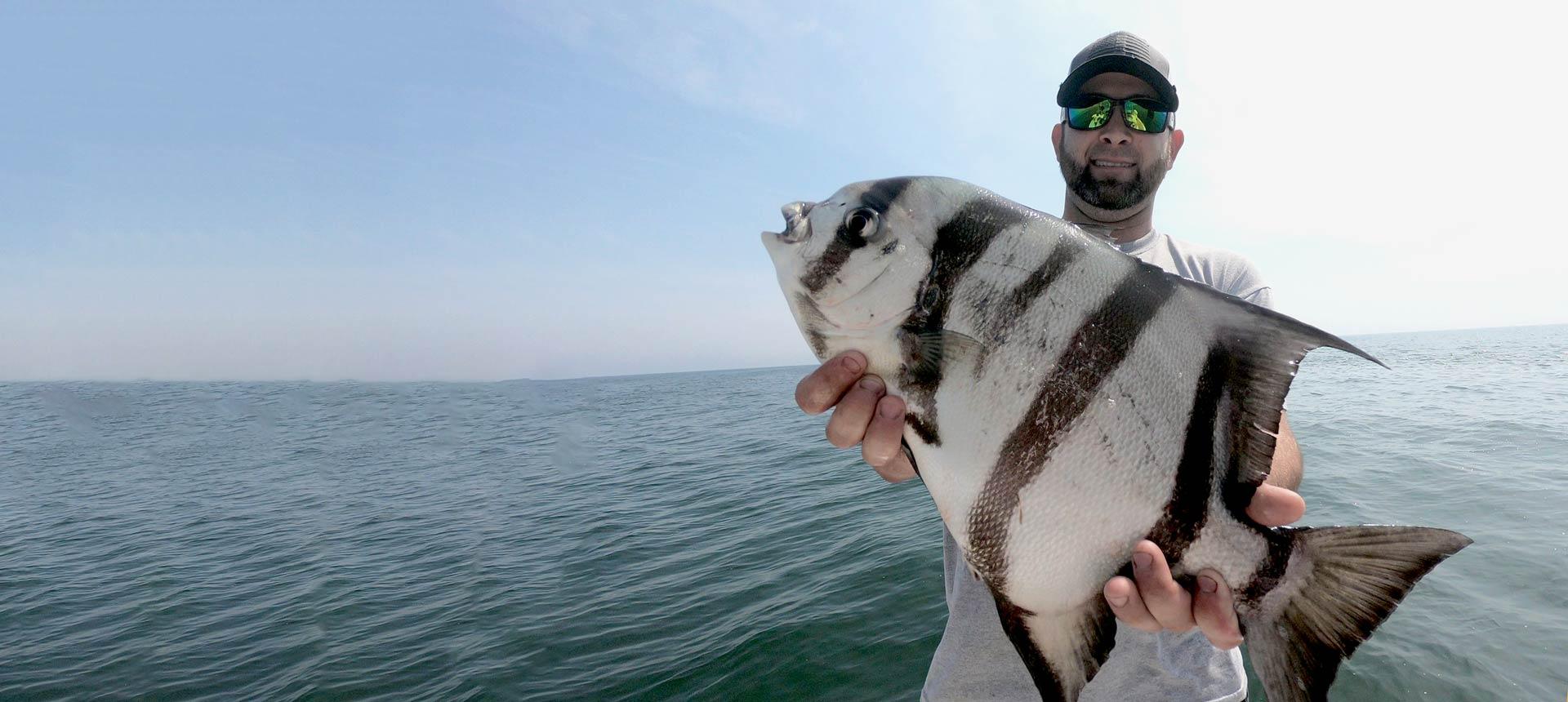 Spadefish Fishing in Kiawah Island - FishingBooker