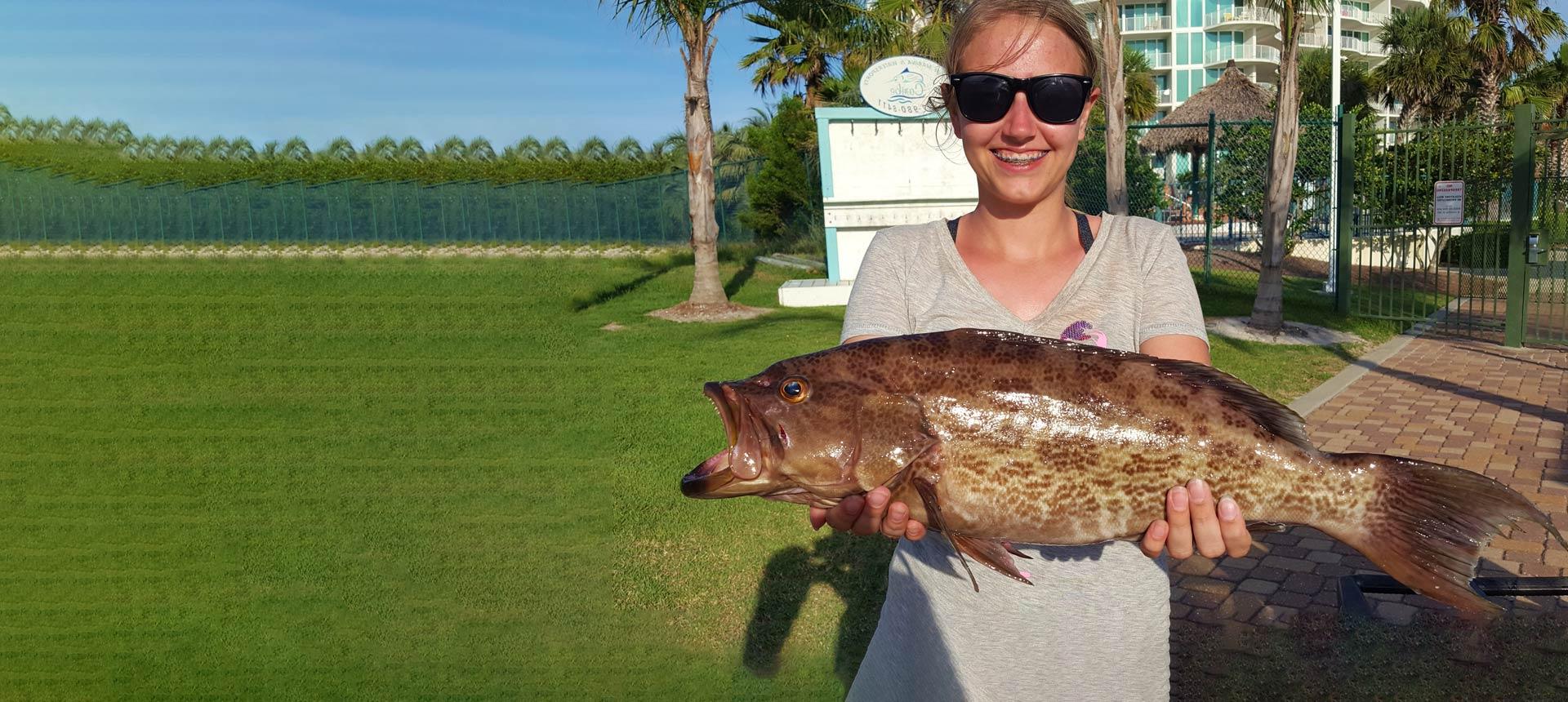 Scamp Grouper Fishing in Riverview, FL - FishingBooker
