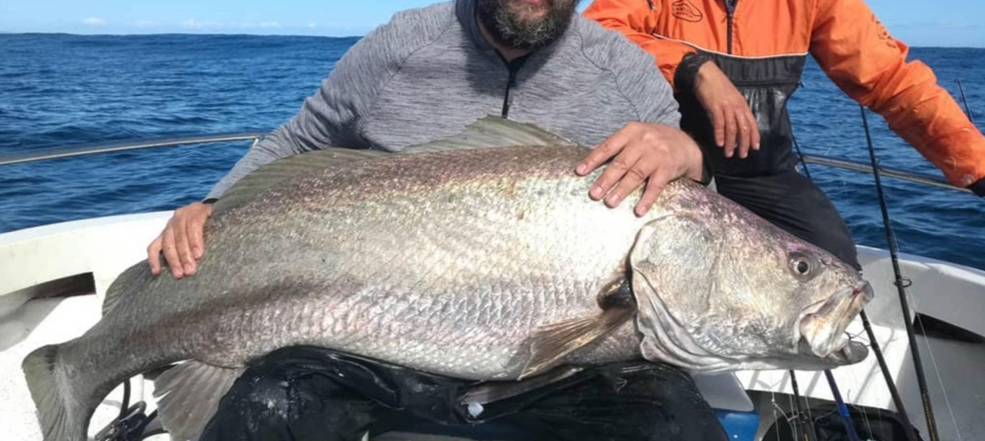 Kob Fishing in Shelly Beach - FishingBooker