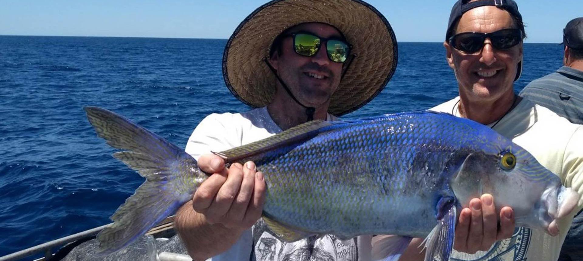Australian Queen Snapper Fishing in Perth - FishingBooker