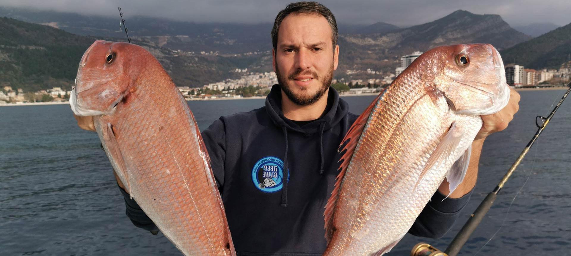 Common Pandora Fishing in Crete - FishingBooker