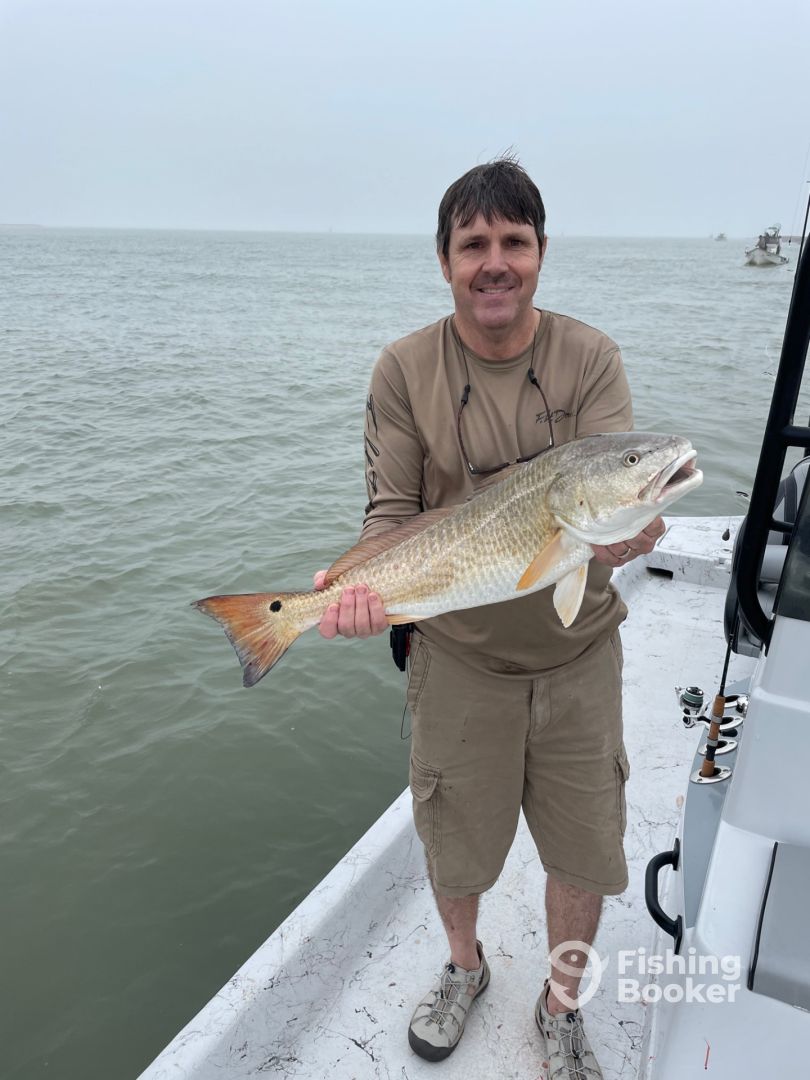 Fishing for redfish and blackdrum has be - Port O'Connor Fishing Report ...