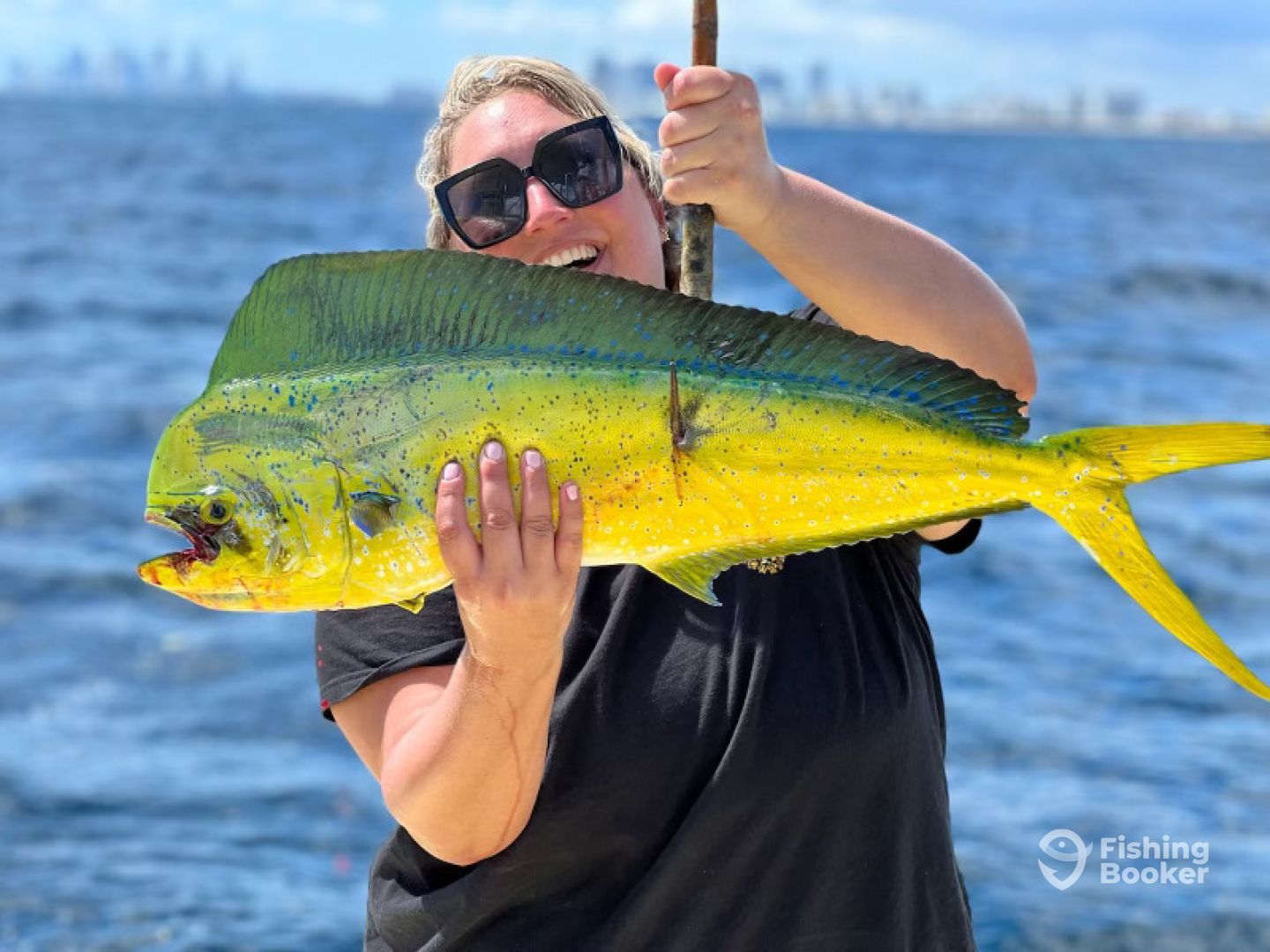 Fall Deep Sea Fishing Report - Hollywood Fishing Report - FishingBooker