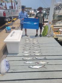 Daily Rudee Inlet Fishing Reports (July 2023)