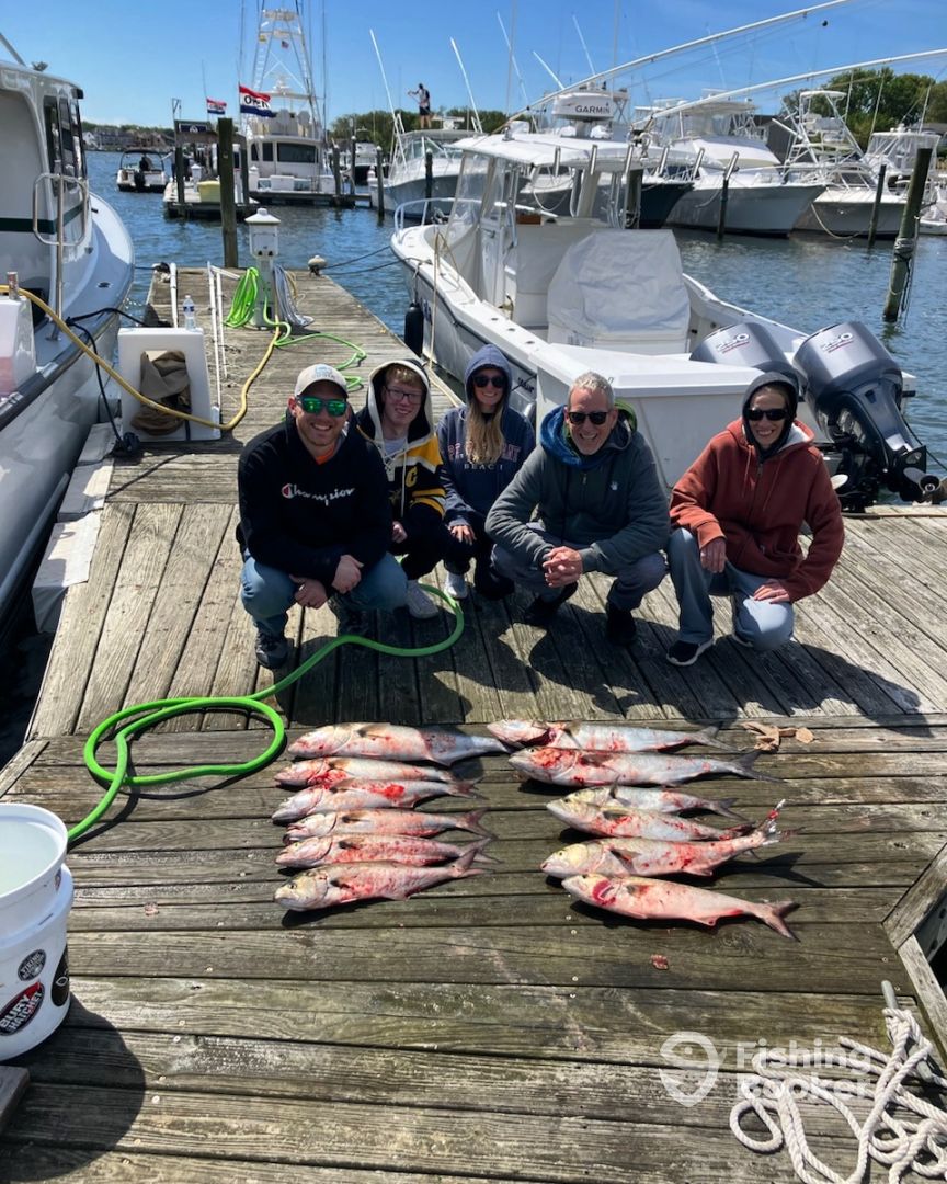 Great spring fishing - Point Pleasant Fishing Report - FishingBooker