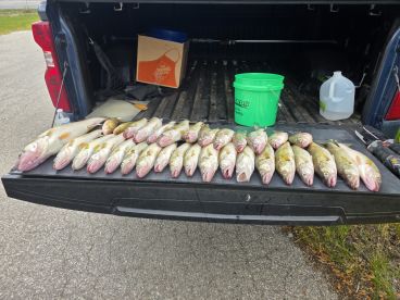 Great Captain and fine boat - Review of Chasing Tales, Bay City, MI ...