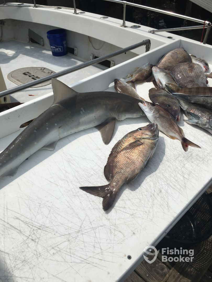 Calabash Fishing Fleet (Calabash) - Updated 2020 Prices - NC ...