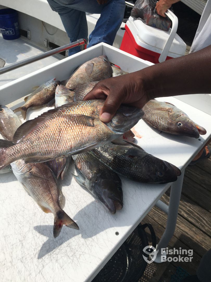 Calabash Fishing Fleet (Calabash) - Updated 2020 Prices - NC ...