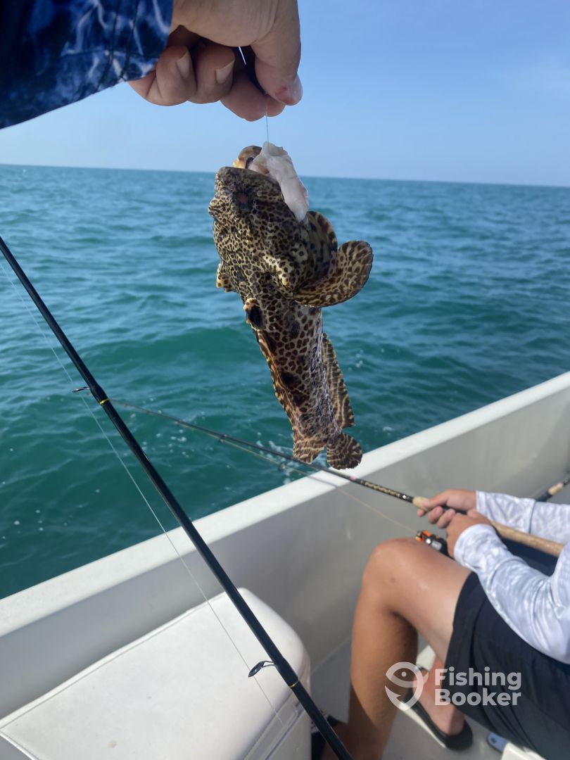 Deep Color Fishing (Bay Pines) - Updated 2022 Prices - FishingBooker