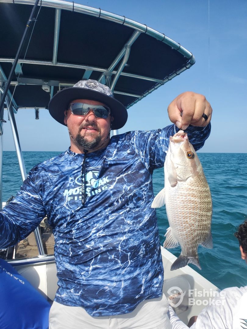Deep Color Fishing (Bay Pines) - Updated 2022 Prices - FishingBooker