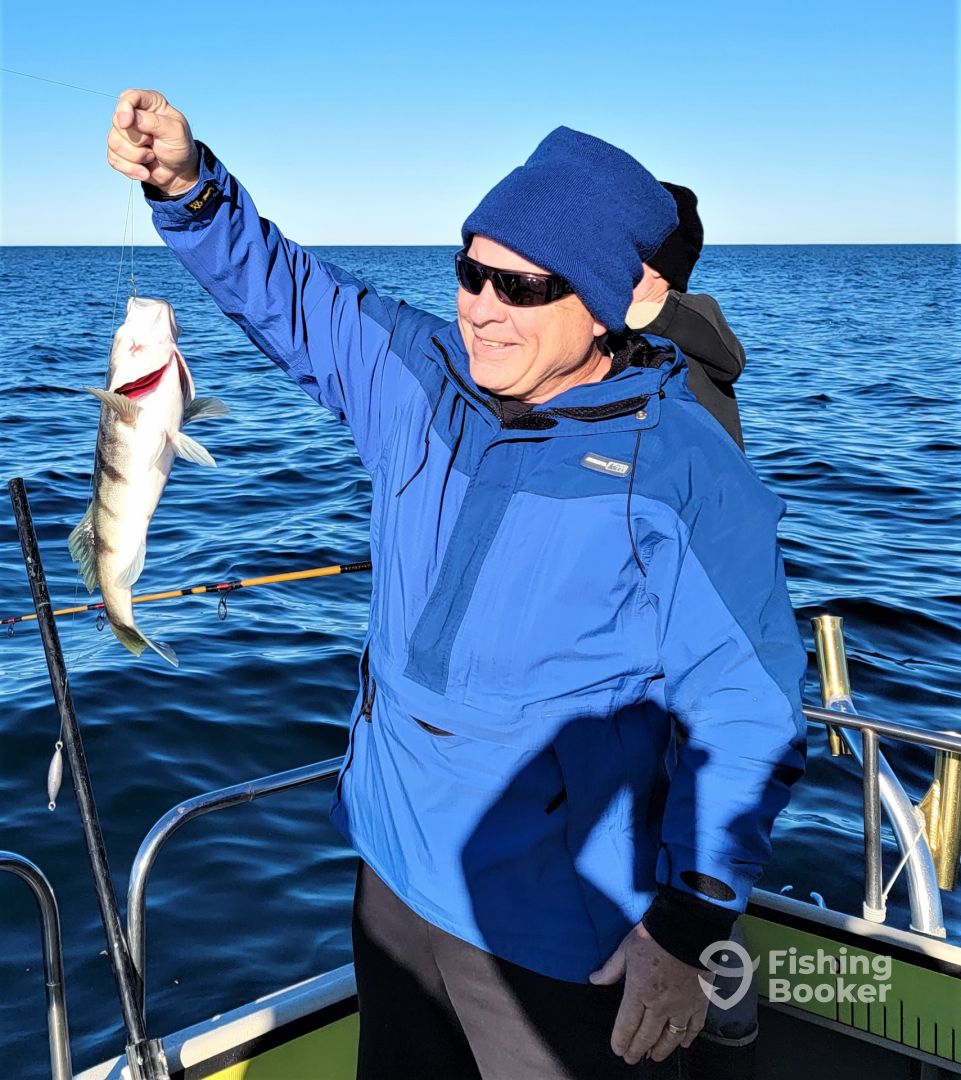Fish Taxi Sportfishing (Oceanside) - Updated 2022 Prices - FishingBooker