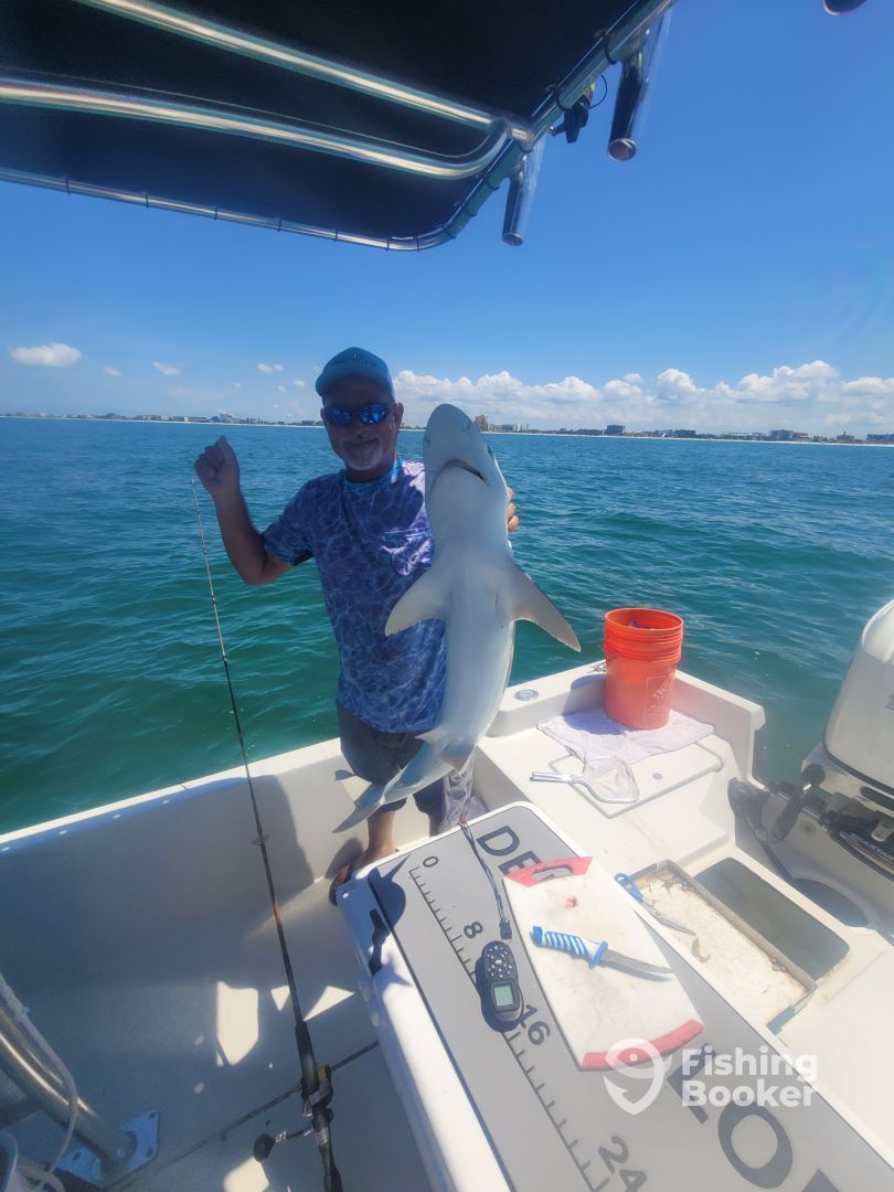 Deep Color Fishing (Bay Pines) - Updated 2022 Prices - FishingBooker