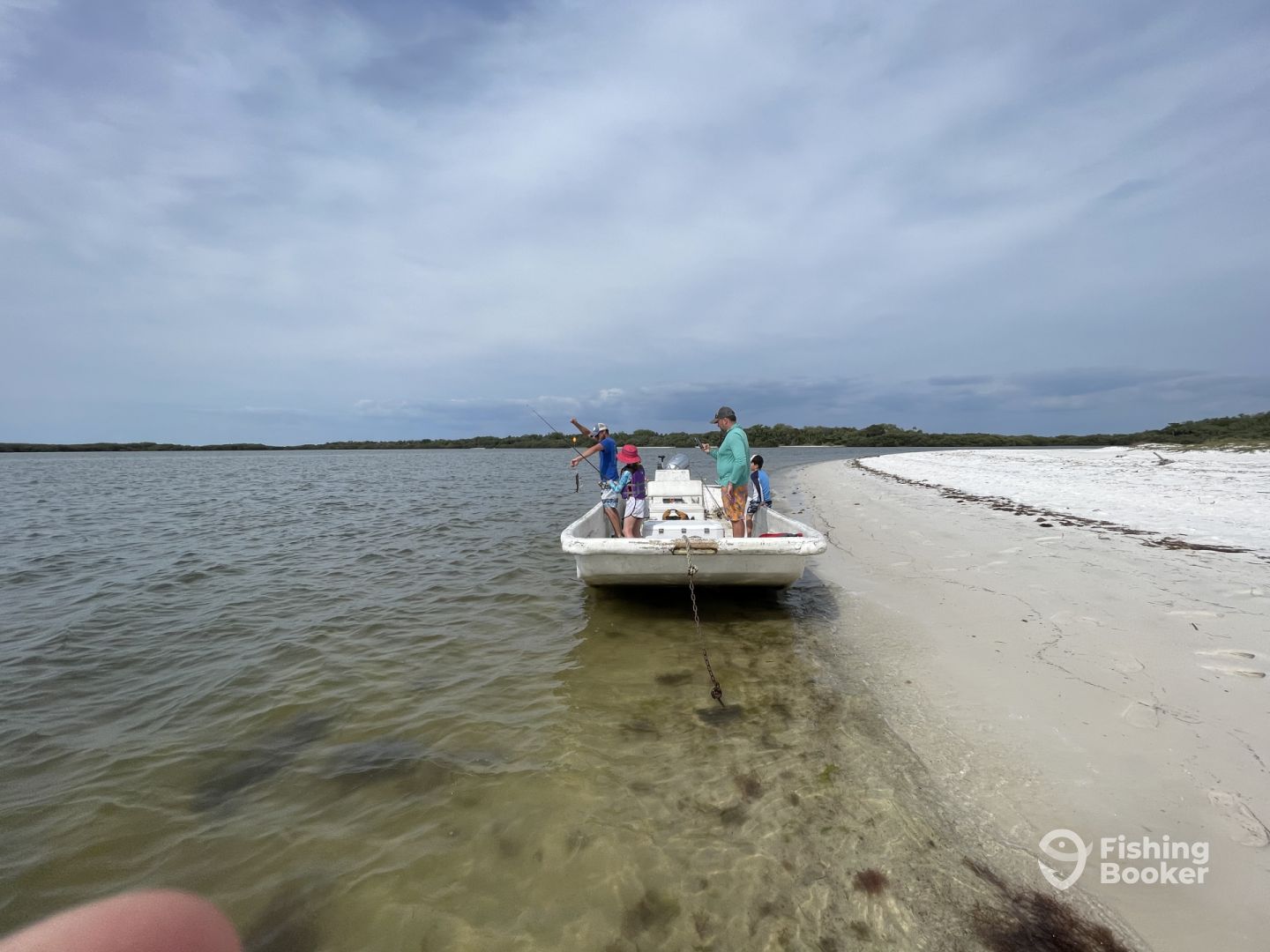 Cedar Key Fishing Charters & Tours - Updated 2024 Prices