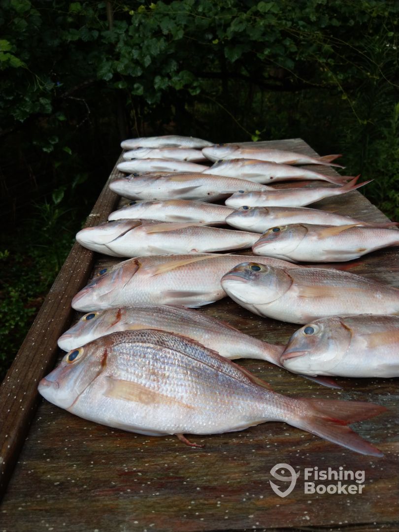 Reel Addiction 2 Charters - Updated 2024 Prices