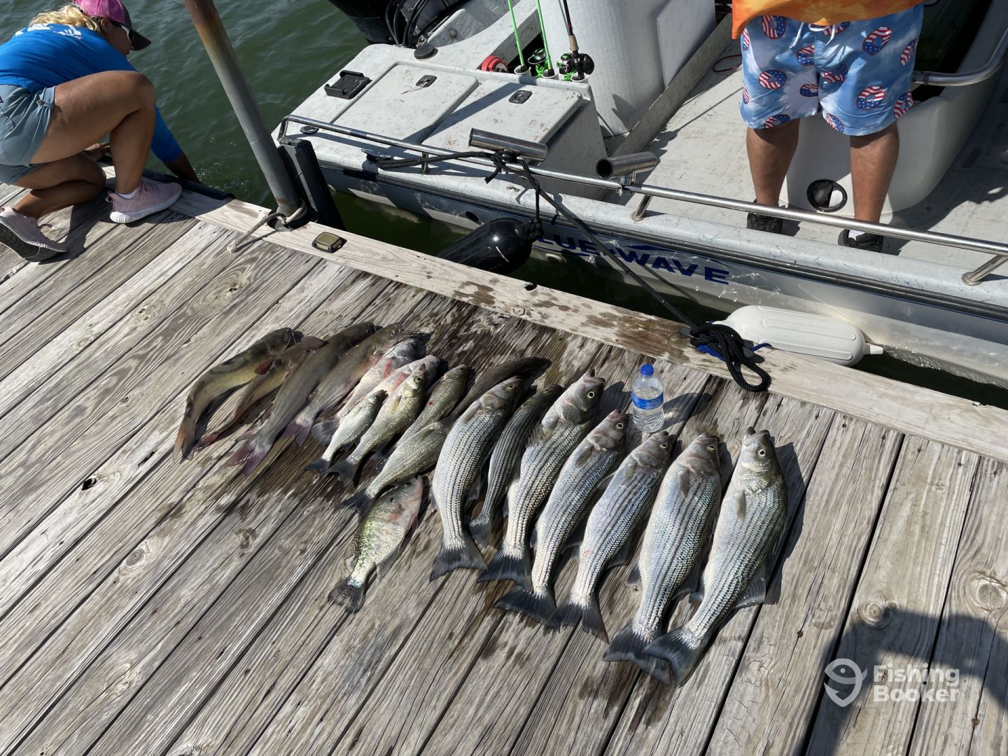 Krazy Fins Fishing Guide Service - Updated 2024 Prices
