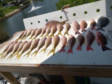 June fishing trip - Review of Untide Charters, Nokomis, FL - FishingBooker