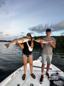 Captain Jace Schenk, Clearwater, United States - FishingBooker