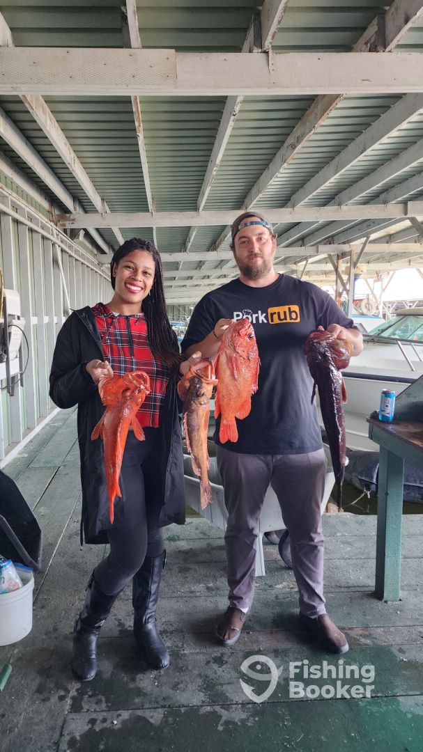 Addictive Sport Fishing - Updated 2024 Prices