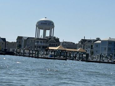 Mod Squad Charters - Updated 2024 Prices