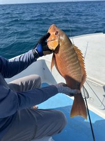 Awesome fishing trip in a beautiful place! - Review of Culebra Fishing ...