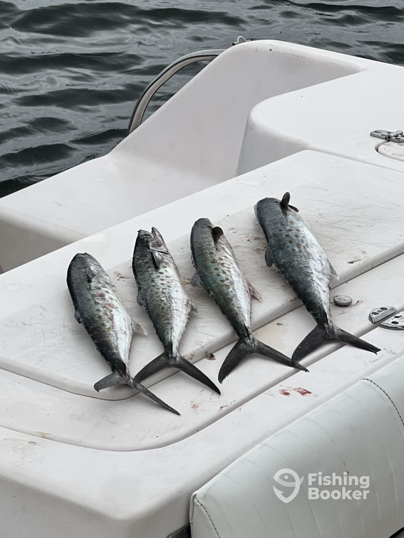 It's A Good Day Charters - Updated 2024 Prices