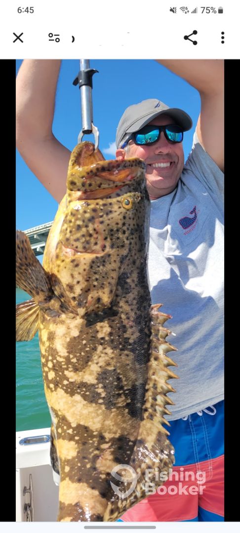 Captain Rio Adventures - Updated 2024 Prices