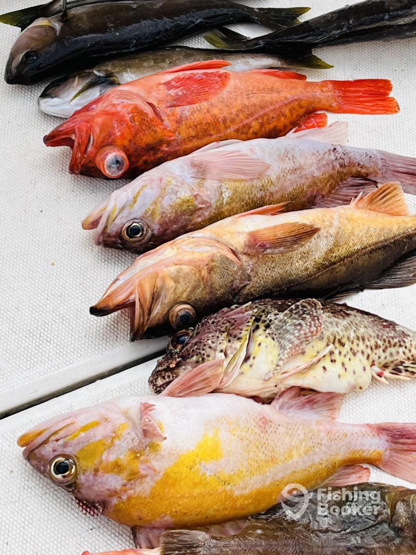 Silva Scales n' Tales Sportfishing - Updated 2024 Prices