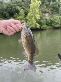 Big Ridge River Guides - Updated 2024 Prices