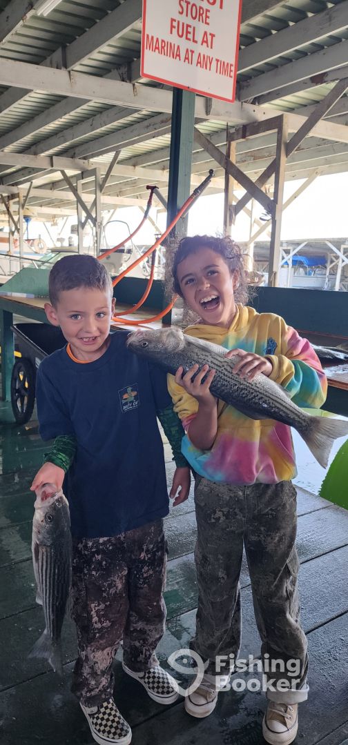 Addictive Sport Fishing - Updated 2024 Prices