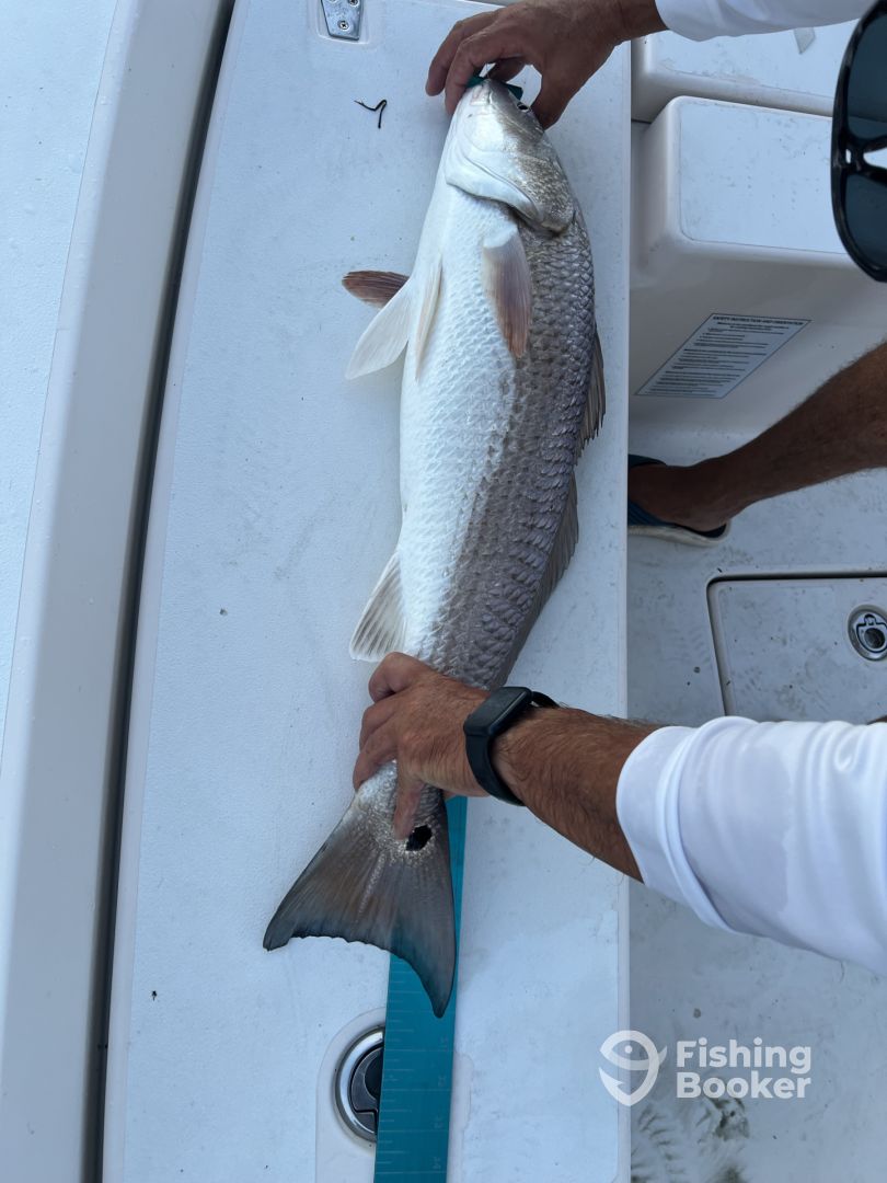 Boogie Man Fishing Charters LLC - Updated 2024 Prices