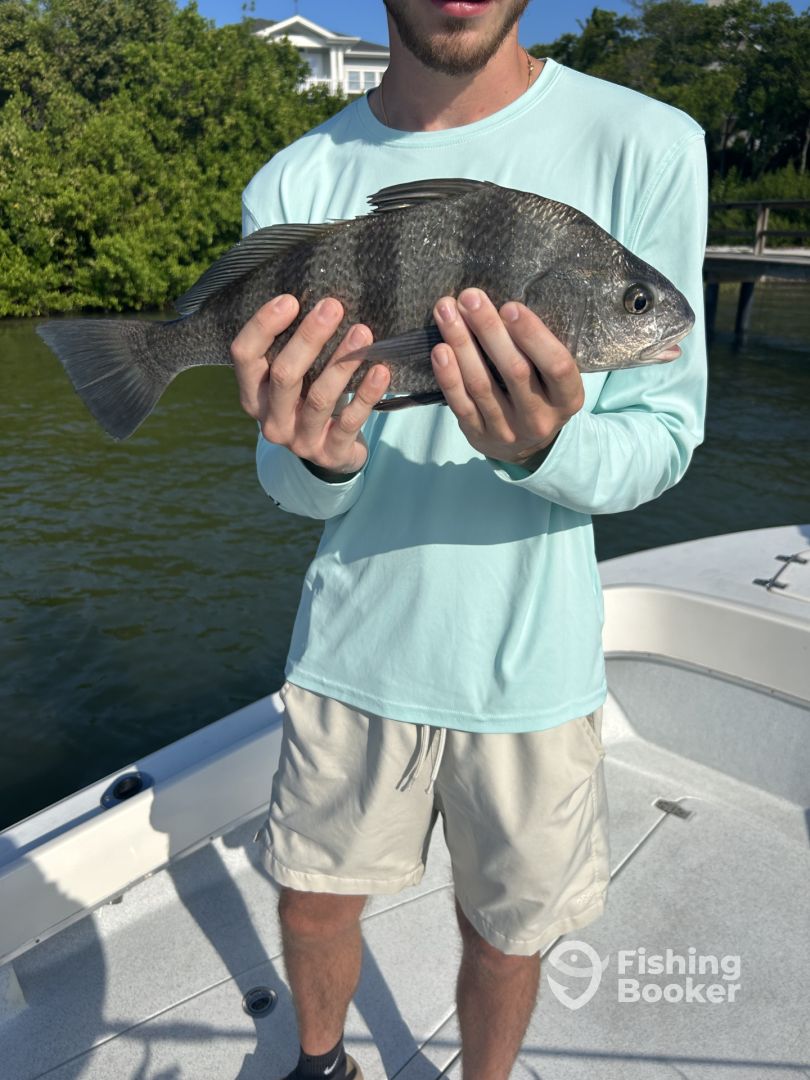 Capt. Nick’s Fishing Charters - Updated 2024 Prices