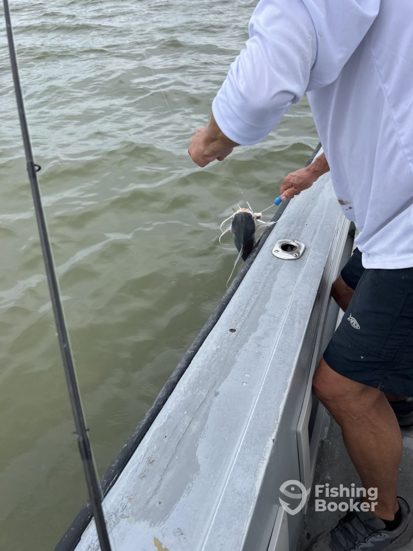 Big Fish Charters - Updated 2024 Prices