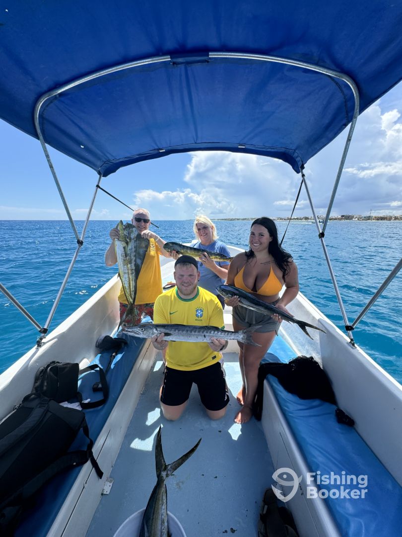 Alfonso Tours - Updated 2024 Prices